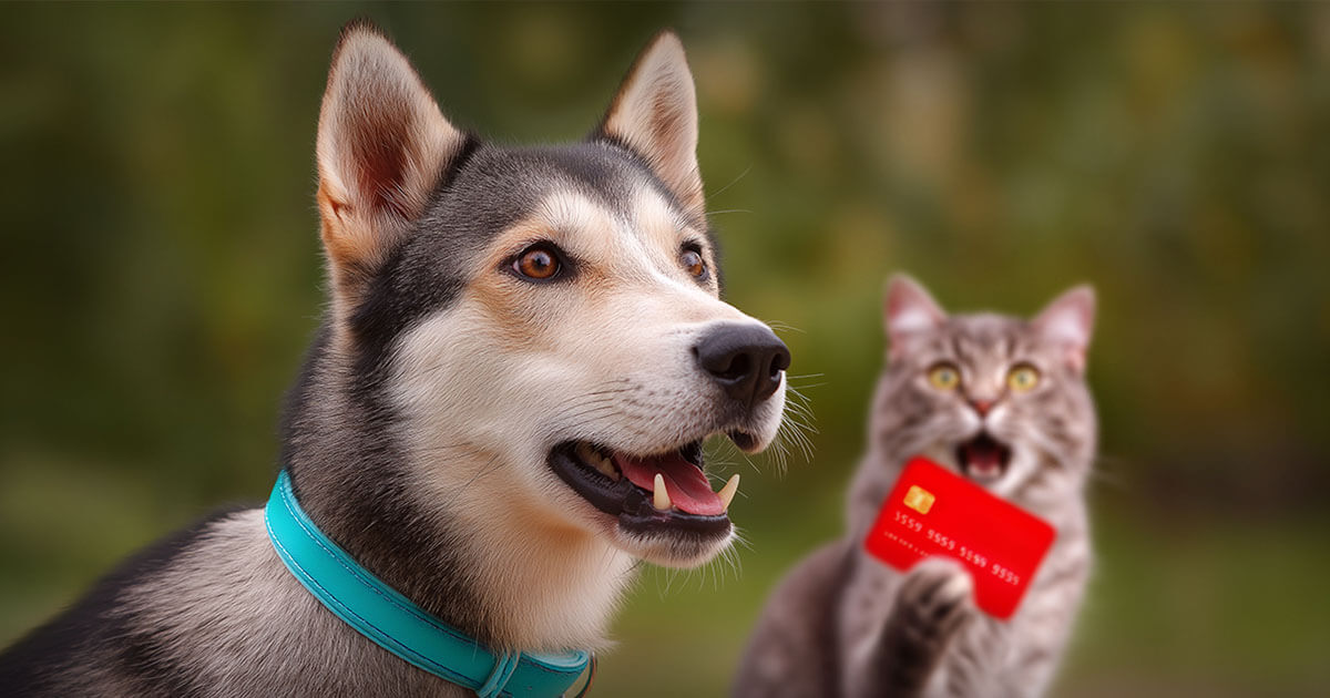 What is a Transaction Dispute? Why Do Customers File Them?